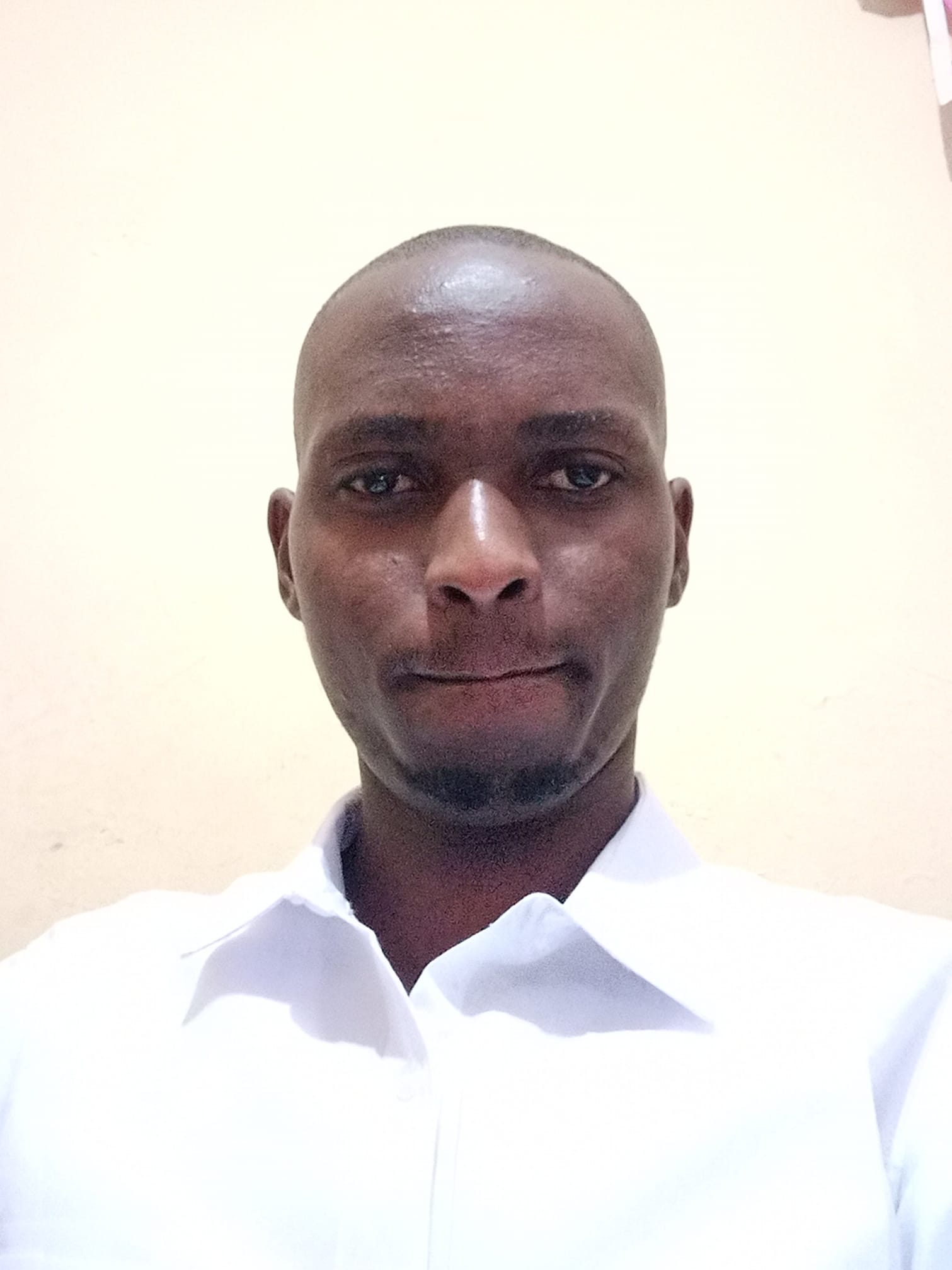 Benedict Mutua Portfolio